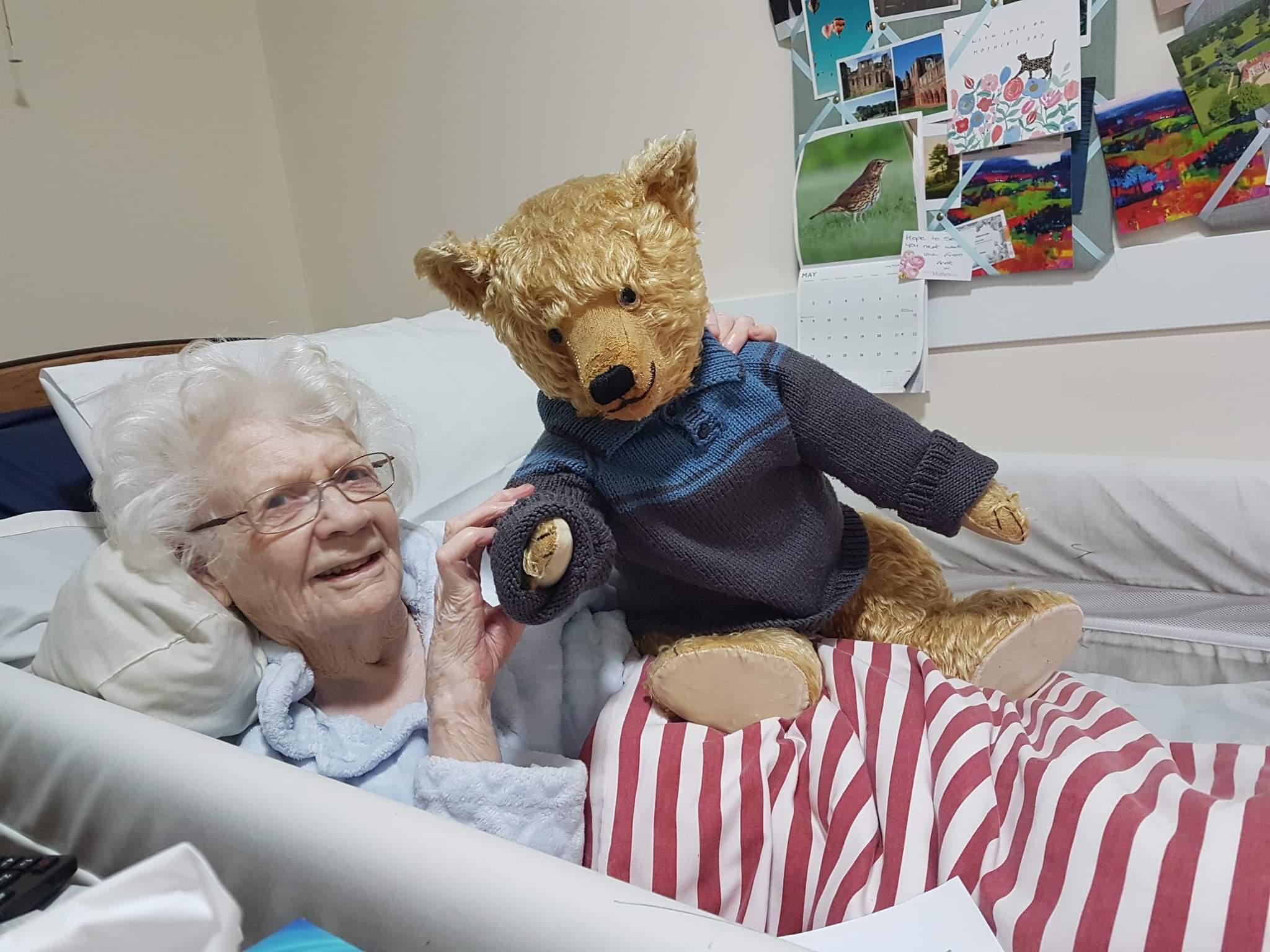 The long lives of Bruin the Bear and Avril - Leith Toy Hospital