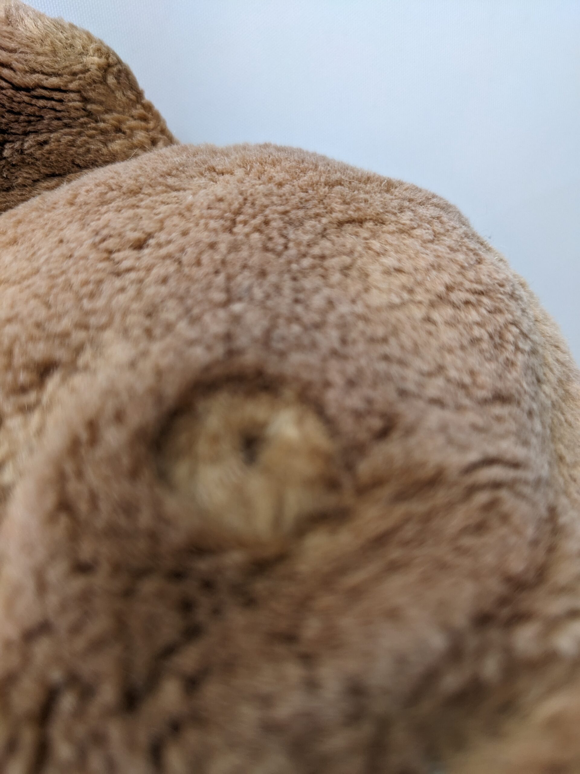 Toy Photos Guide - Leith Toy Hospital
